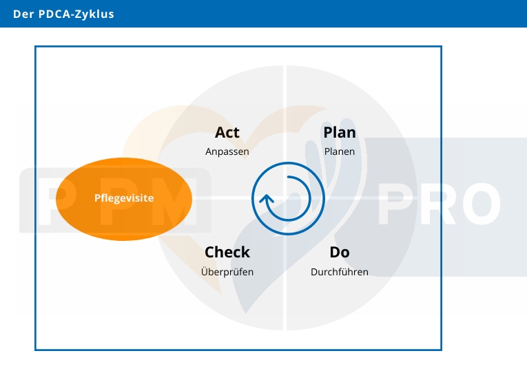 Leitfaden zur Pflegevisite: Struktur & Ablauf