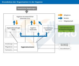 Hygienemanagement In Der Pflege: Regeln & Praxis