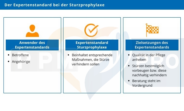 Sturzprophylaxe – so gelingt die Einführung