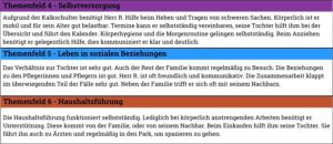 Strukturierte Informationssammlung (SIS): Praxisleitfaden, Vorlage ...