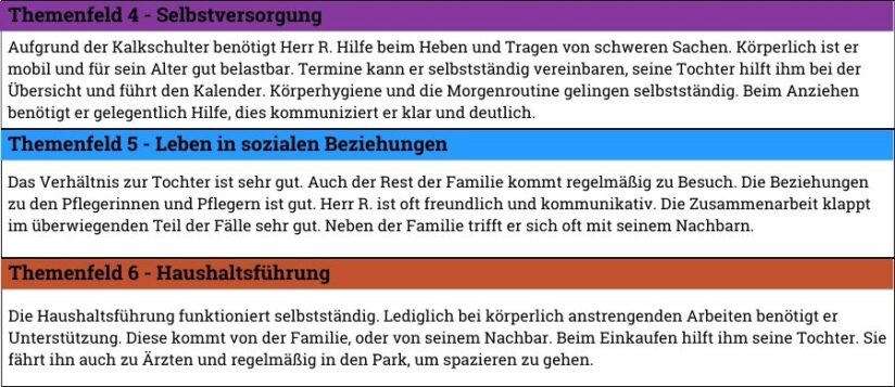 Strukturierte Informationssammlung (SIS): Praxisleitfaden, Vorlage ...